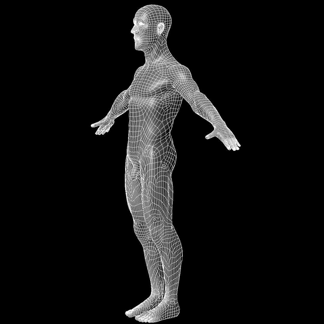 Male Figure 3d Ma