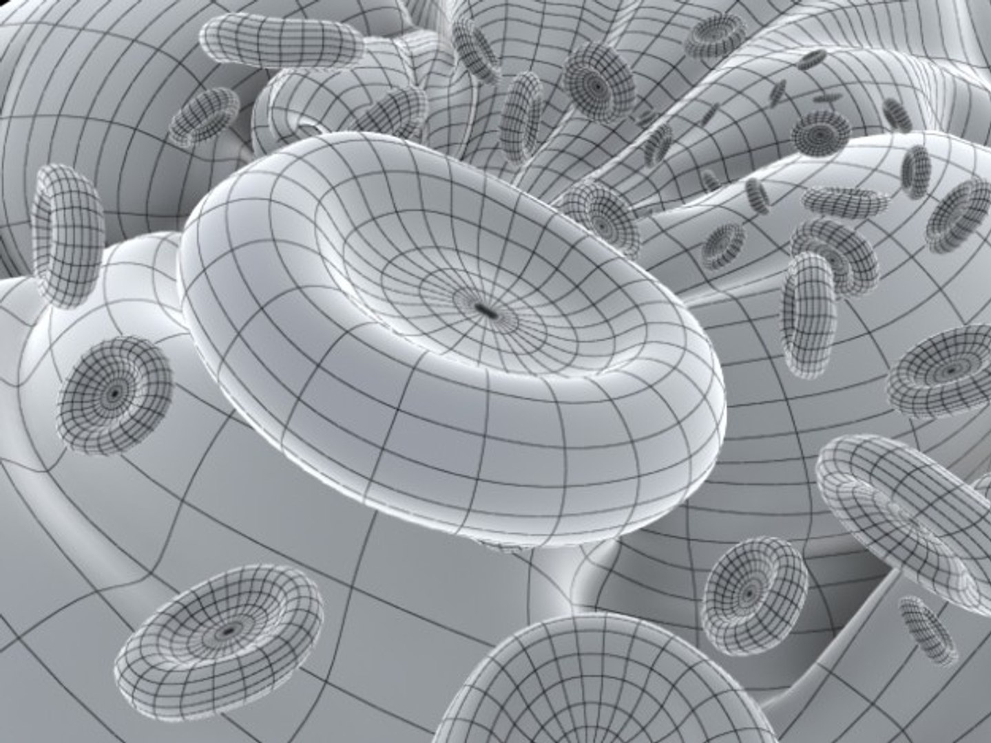 Red Blood Cells 3d Model