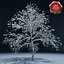 3d Model Winter Tree V1