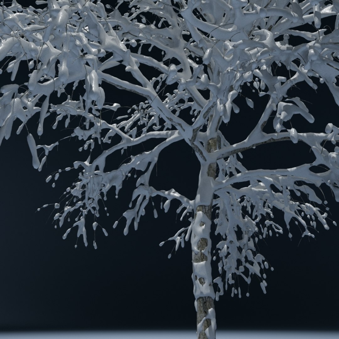 3d model winter tree v1