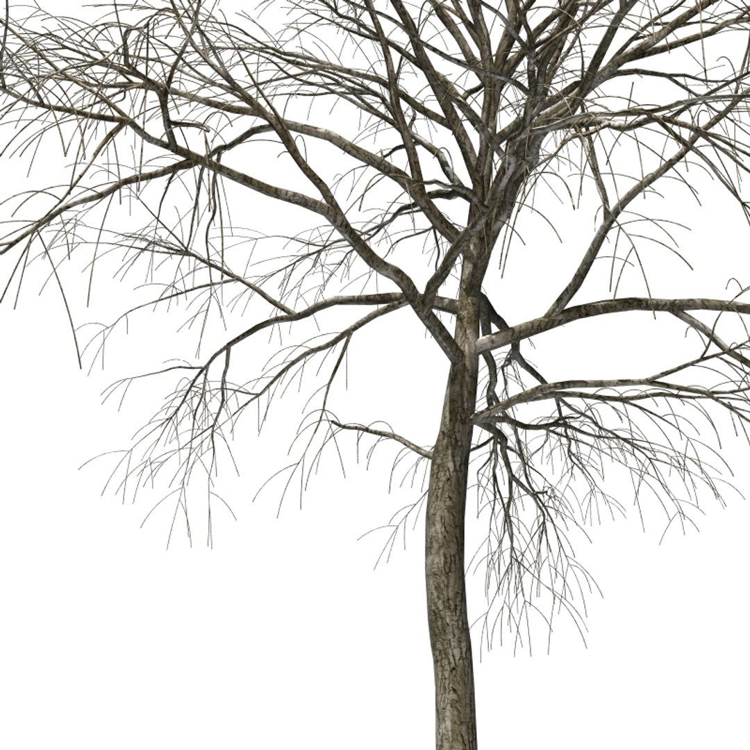 3d model winter tree v1