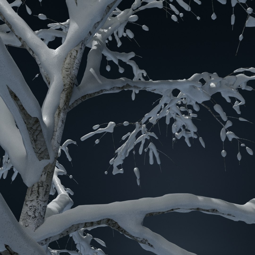 3d model winter tree v1