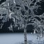 3d Model Winter Tree V1