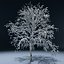 3d Model Winter Tree V1