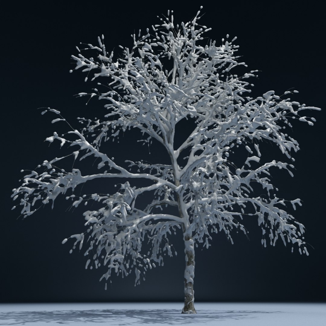 3d model winter tree v1