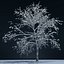 3d Model Winter Tree V1