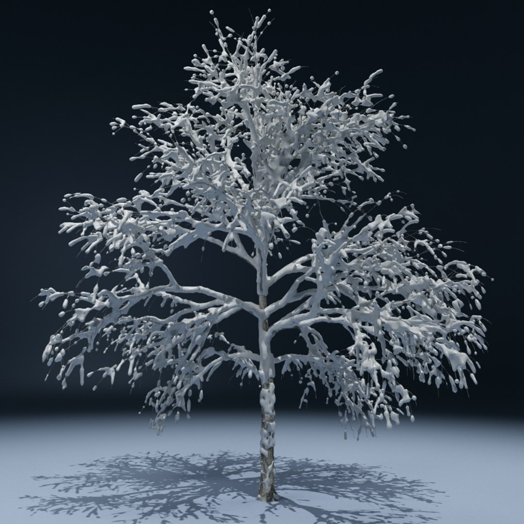 3d Model Winter Tree V1