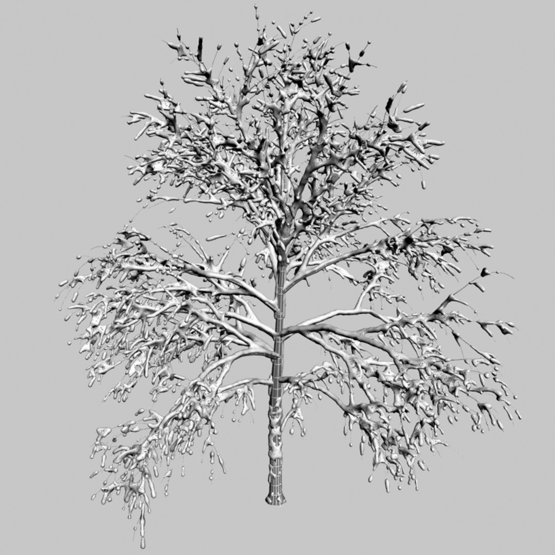3d model winter tree v1