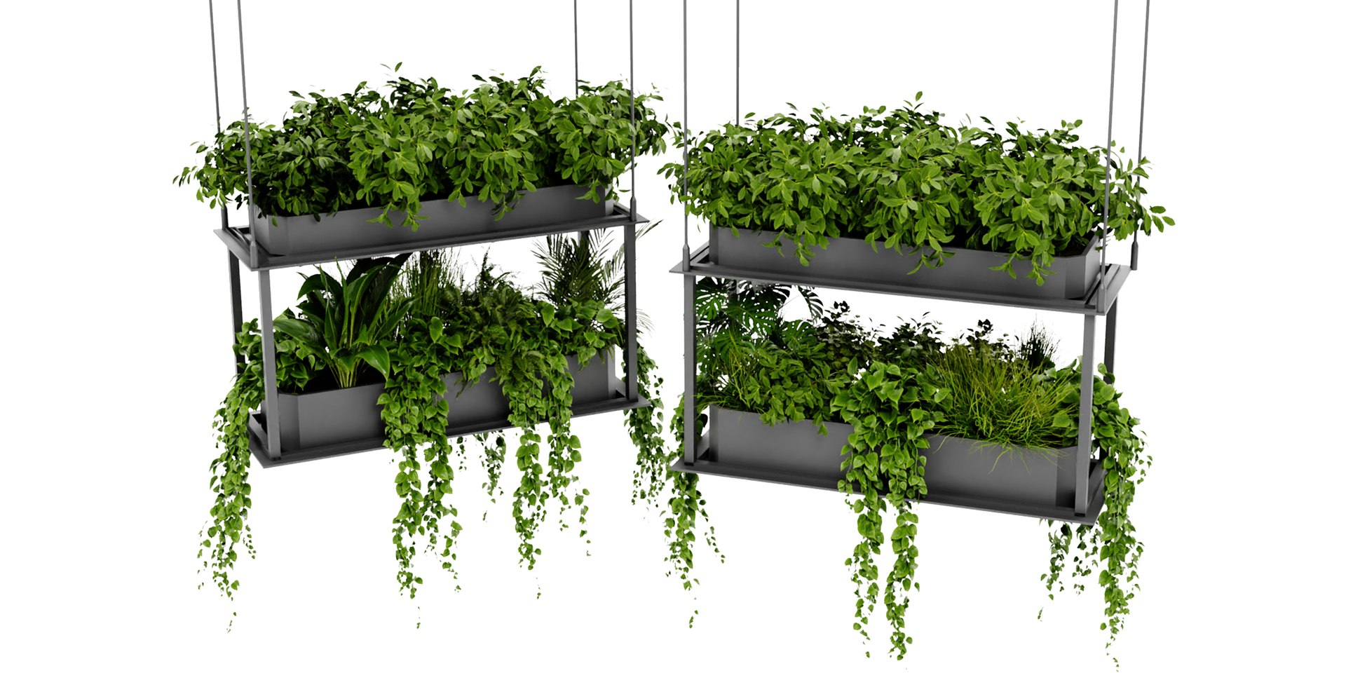 3D Model Collection Plant Vol 470 - Blender Model - TurboSquid 2099225