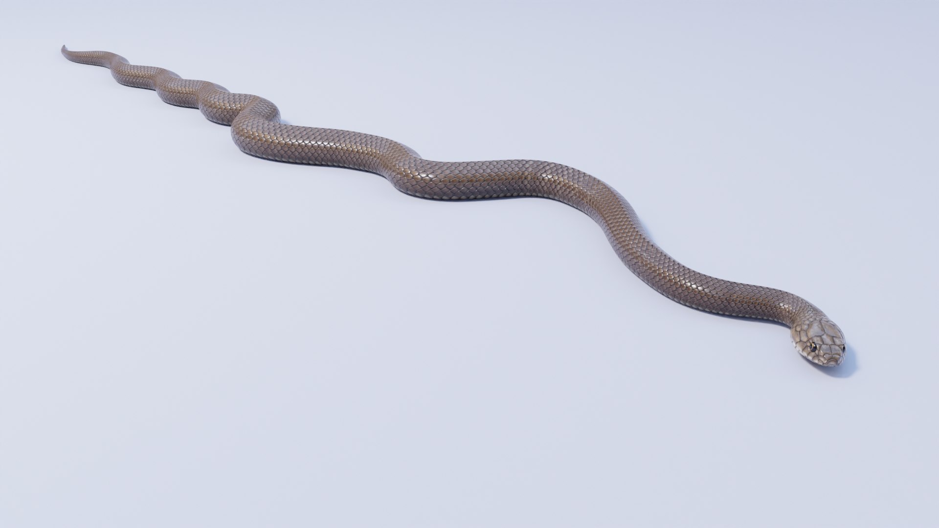 3D Rigged Eastern Brown Snake - TurboSquid 1952267