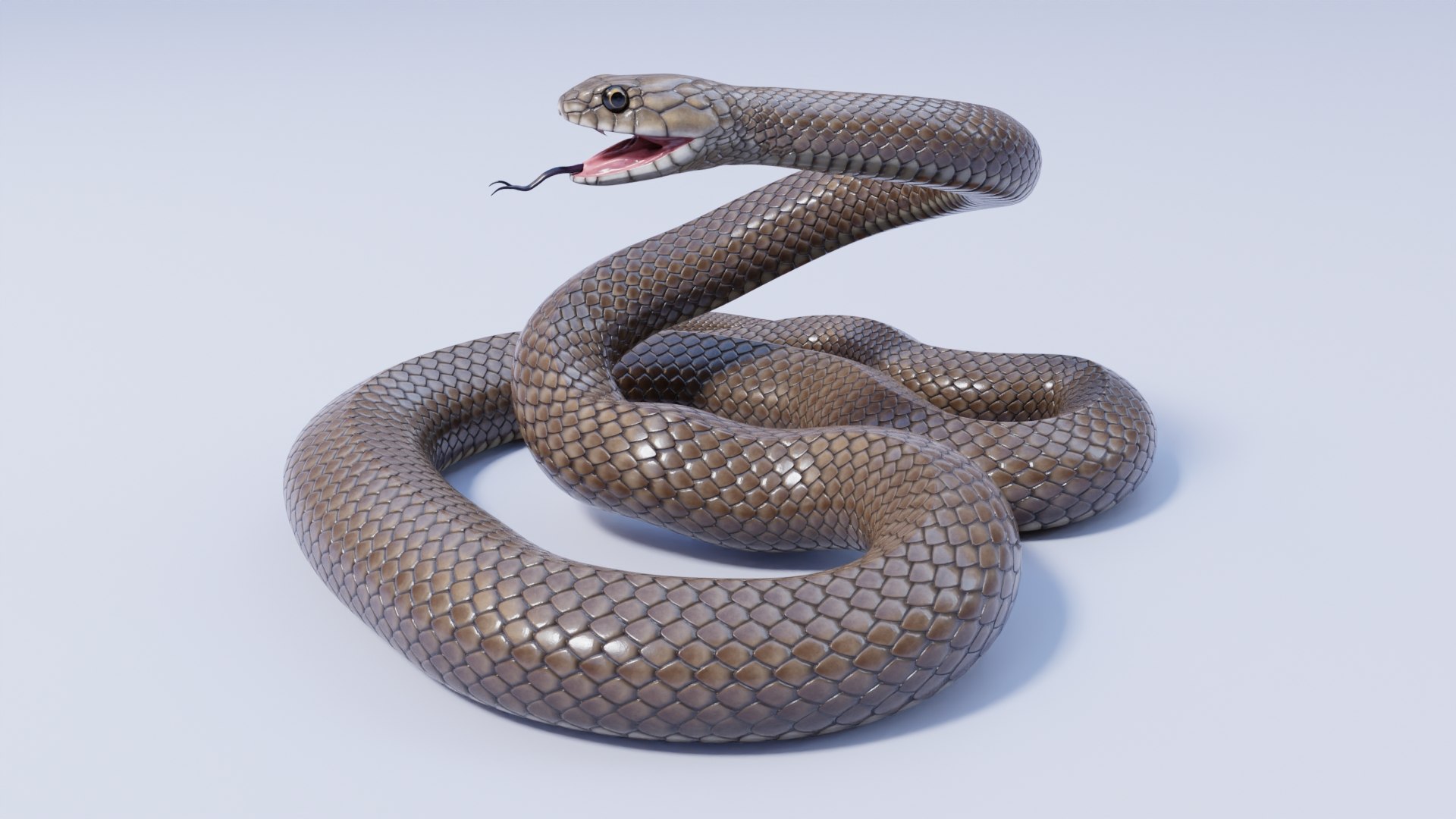 3D Rigged Eastern Brown Snake - TurboSquid 1952267