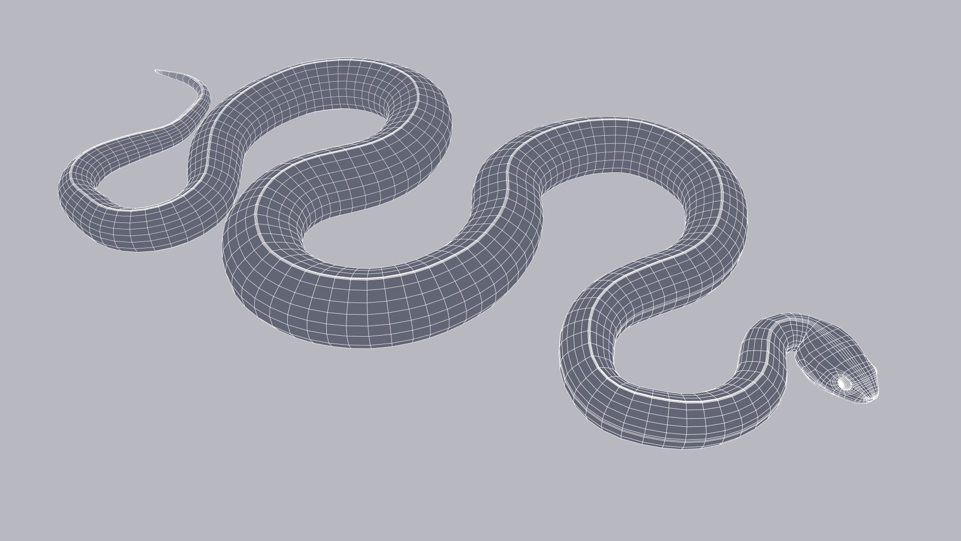 3D Rigged Eastern Brown Snake - TurboSquid 1952267