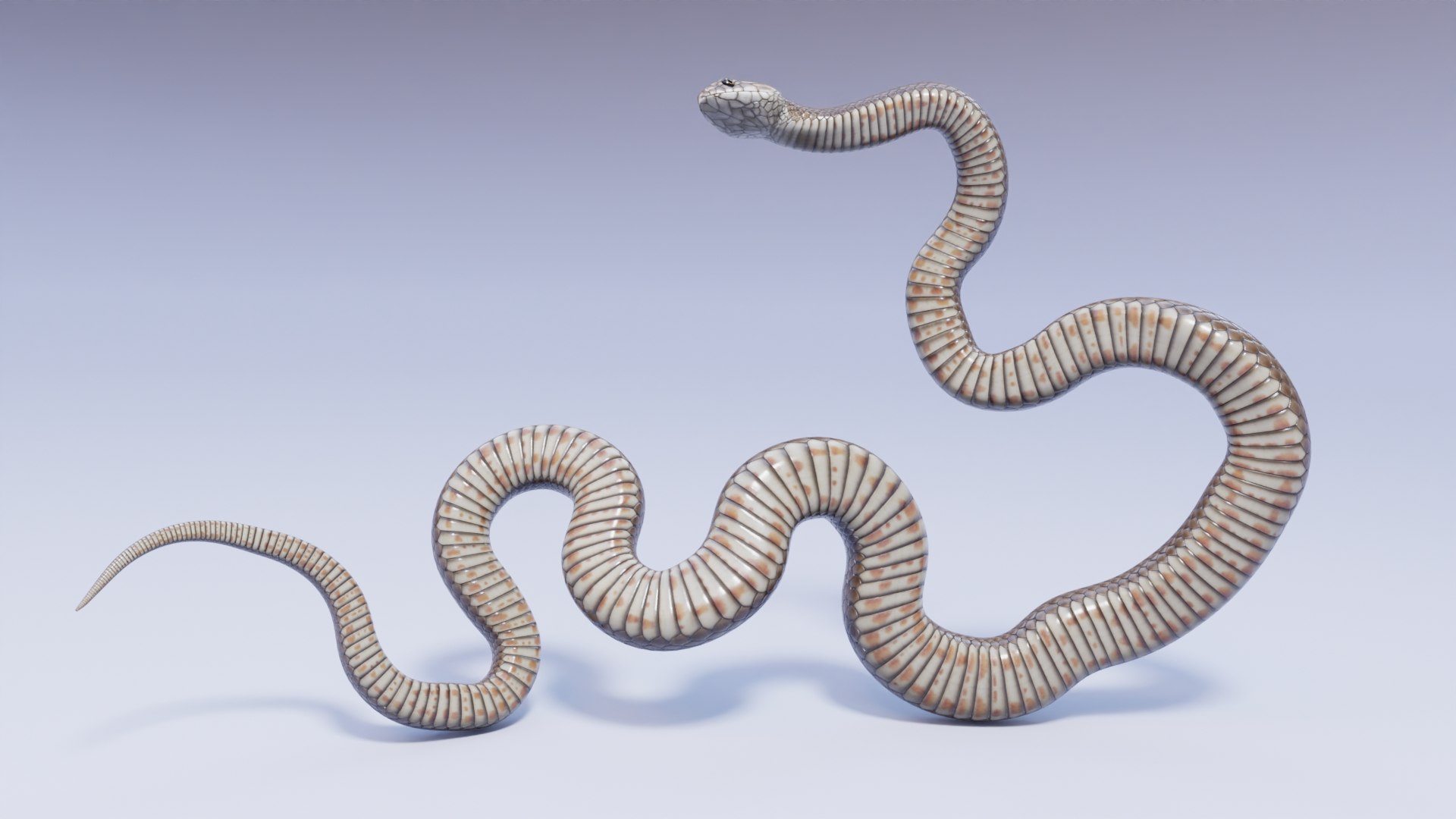 3D Rigged Eastern Brown Snake - TurboSquid 1952267