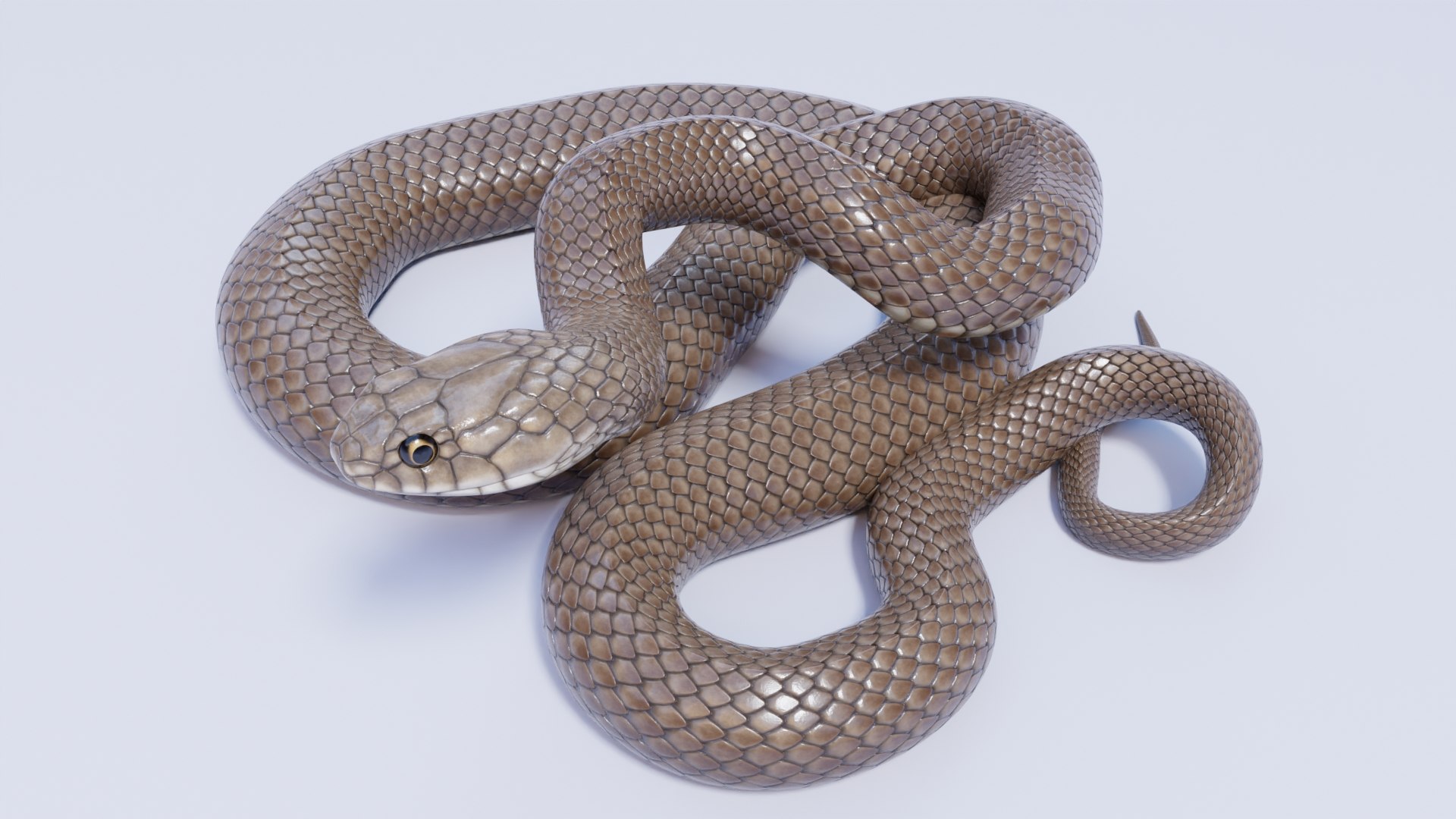 3D Rigged Eastern Brown Snake - TurboSquid 1952267