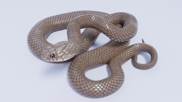 modelo 3d Serpiente marrón oriental aparejada - TurboSquid 1952267