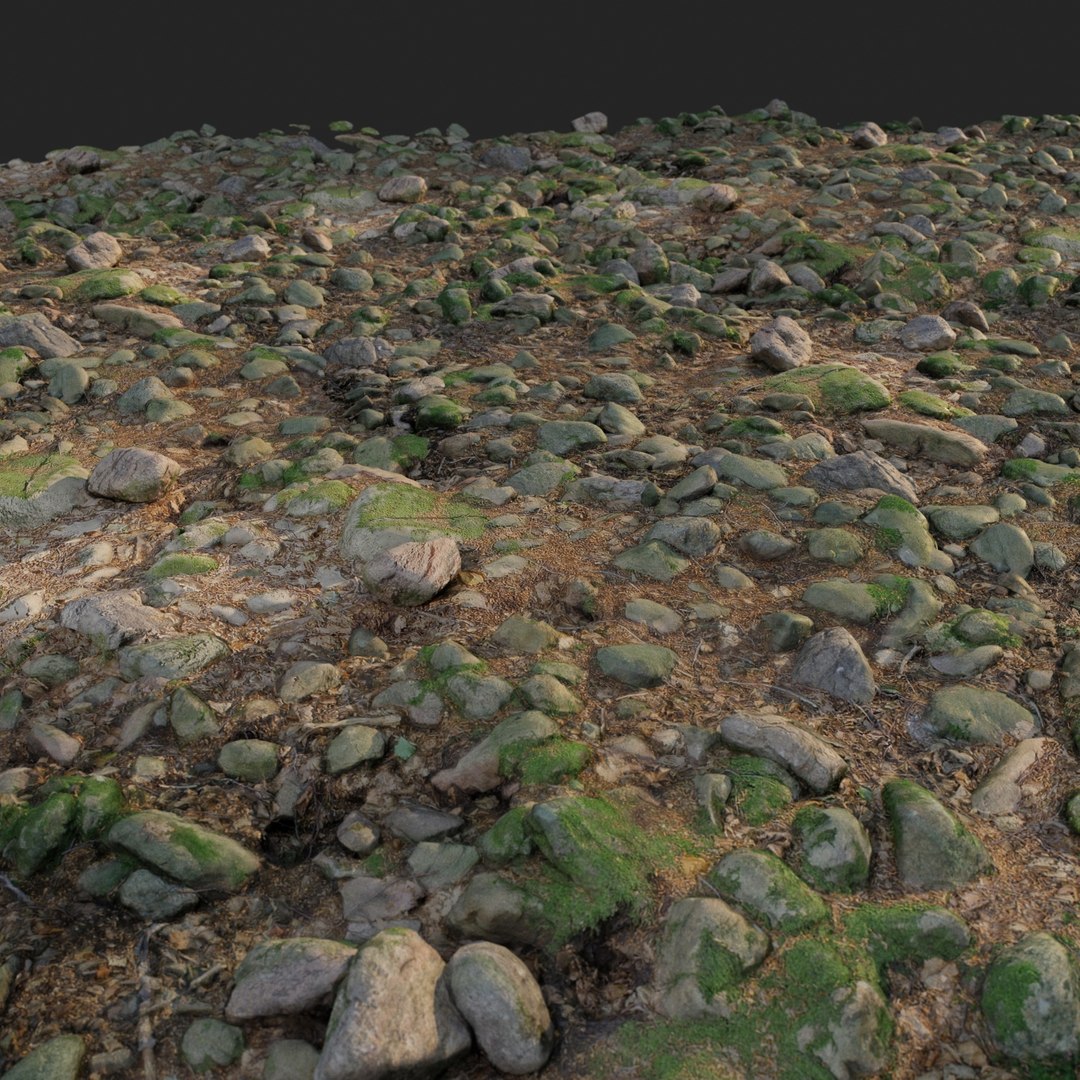 Scanned Nature Stone 017 3D Model - TurboSquid 1207863