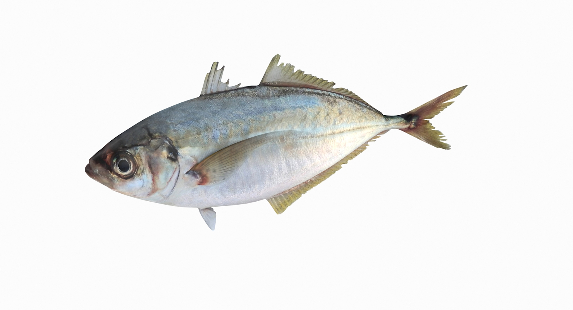 Pacific bumper 3D - TurboSquid 1223109