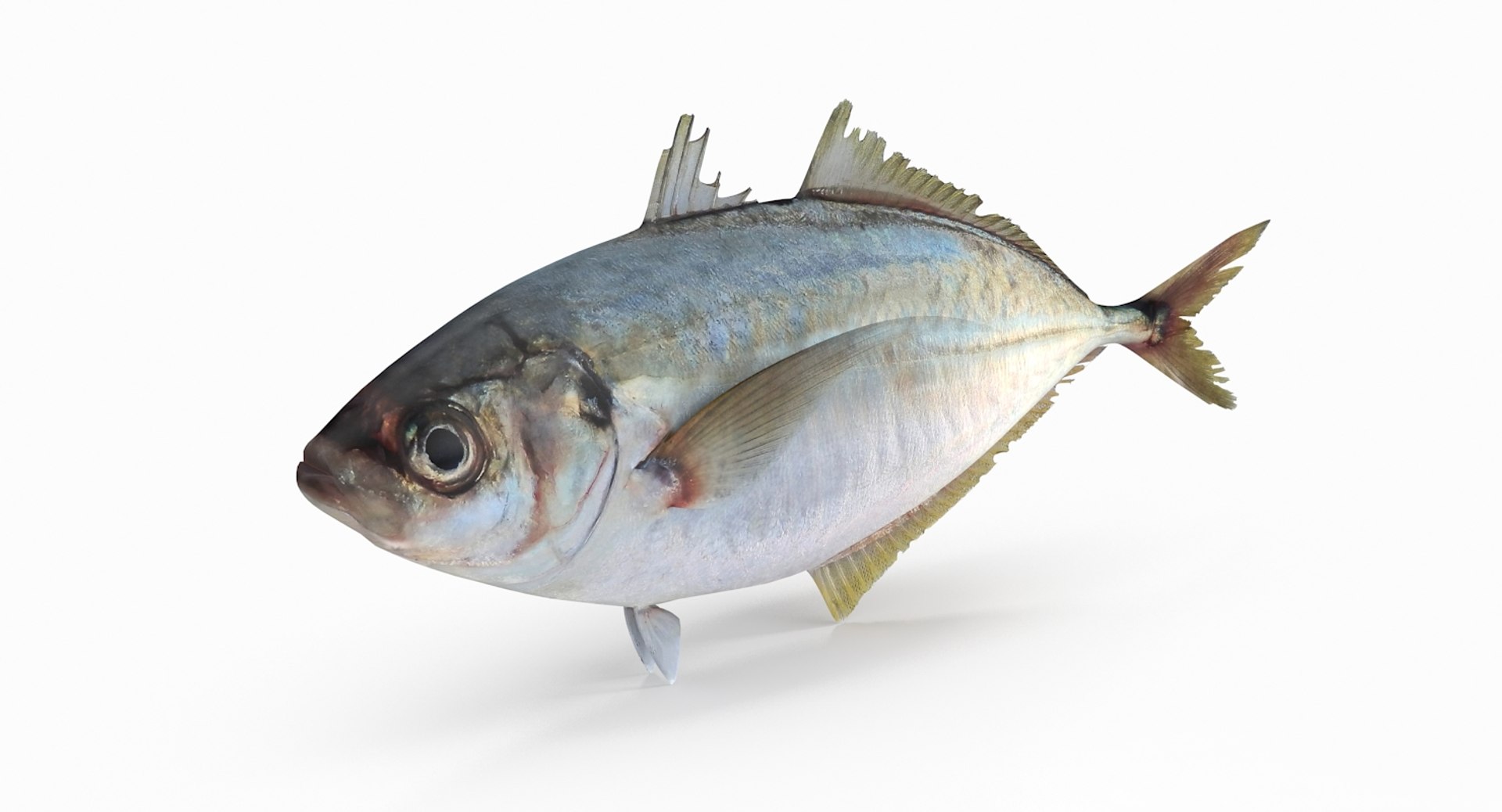 Pacific bumper 3D - TurboSquid 1223109