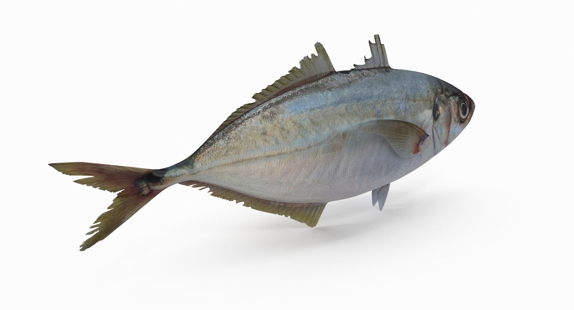 Pacific bumper 3D - TurboSquid 1223109