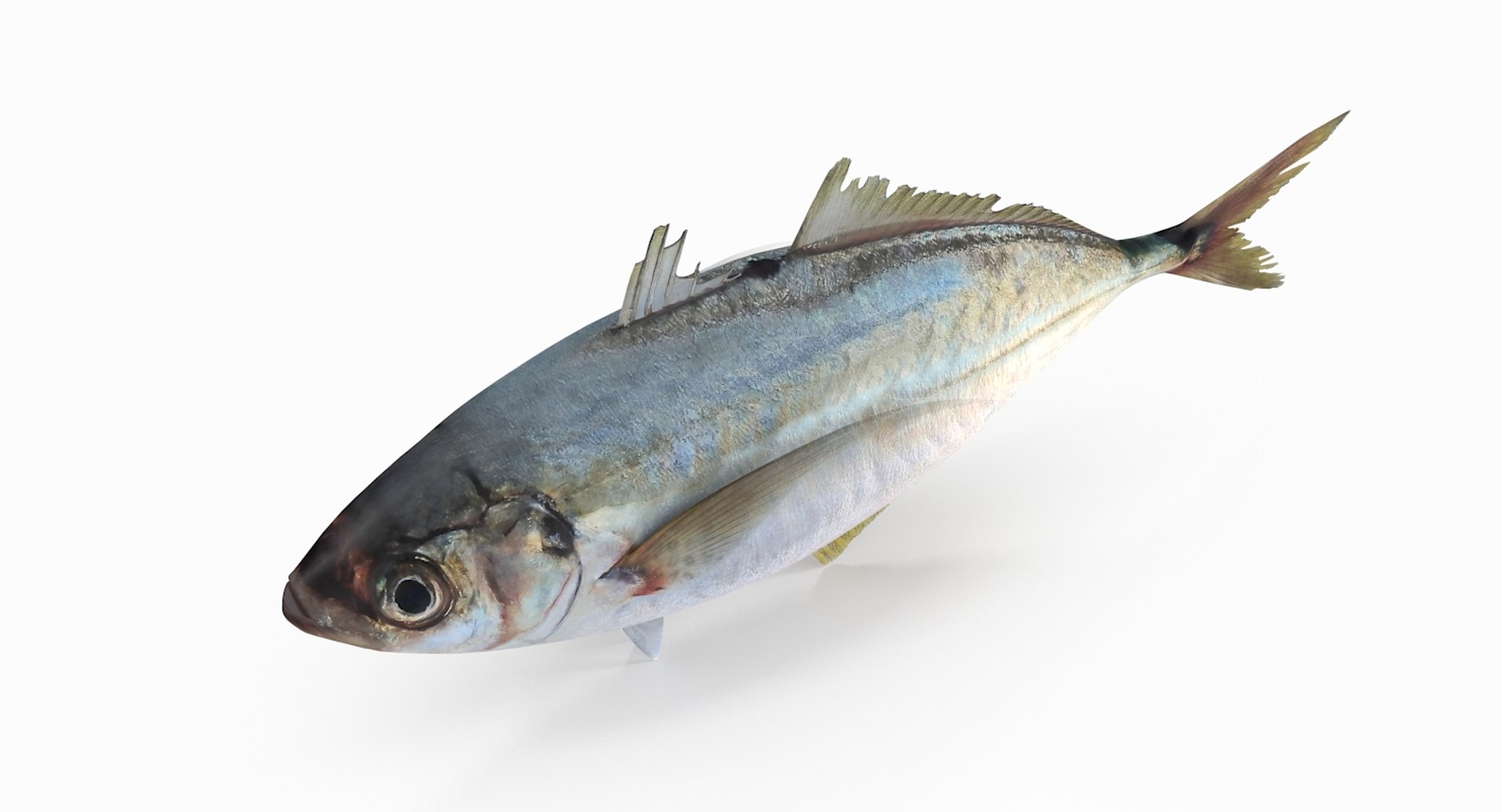 Pacific bumper 3D - TurboSquid 1223109