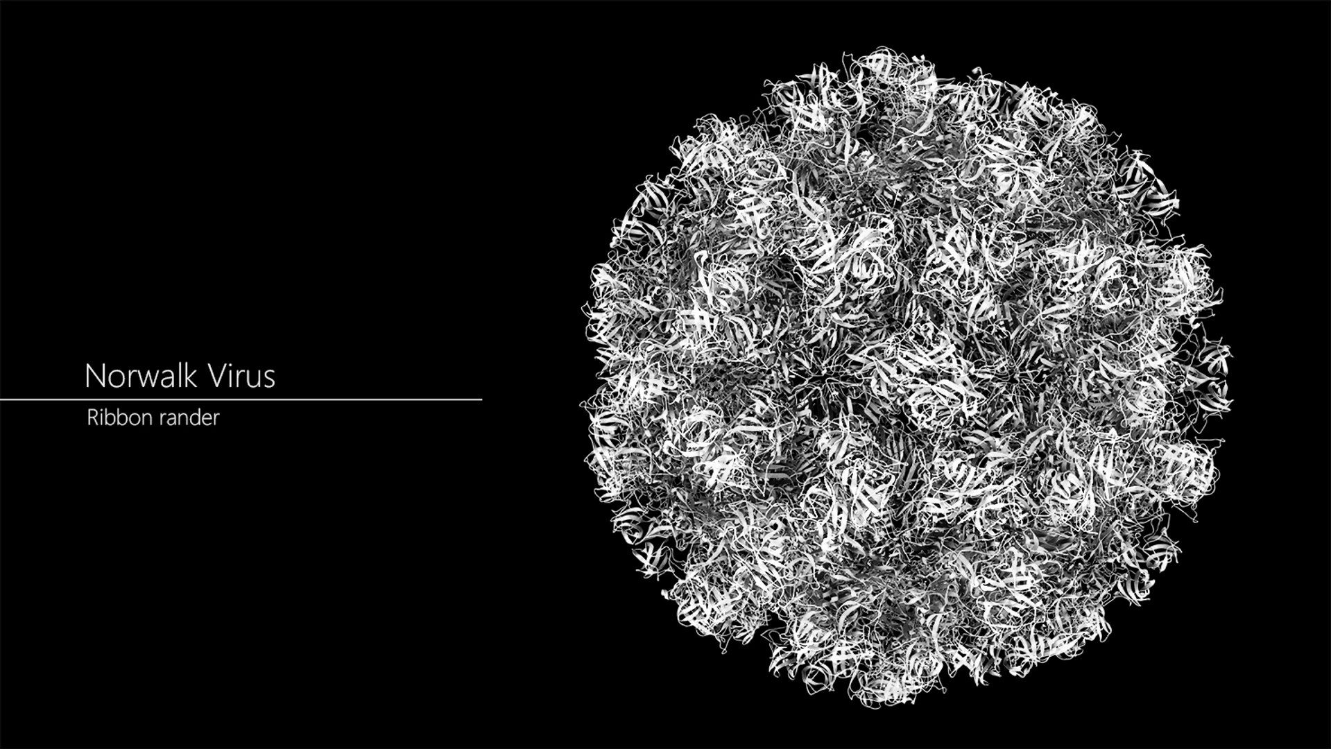 3D Norovirus Norwalk Virus - TurboSquid 1354514