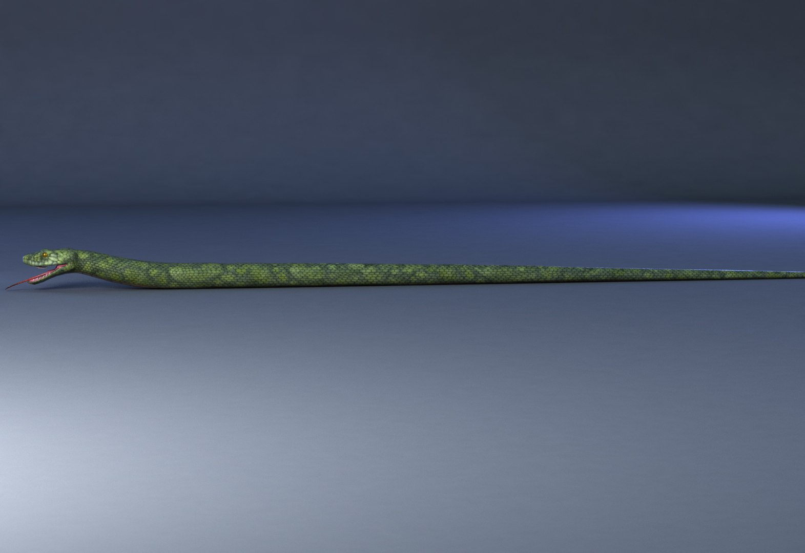 Snake Reptile Animal 3D Model - TurboSquid 1474867