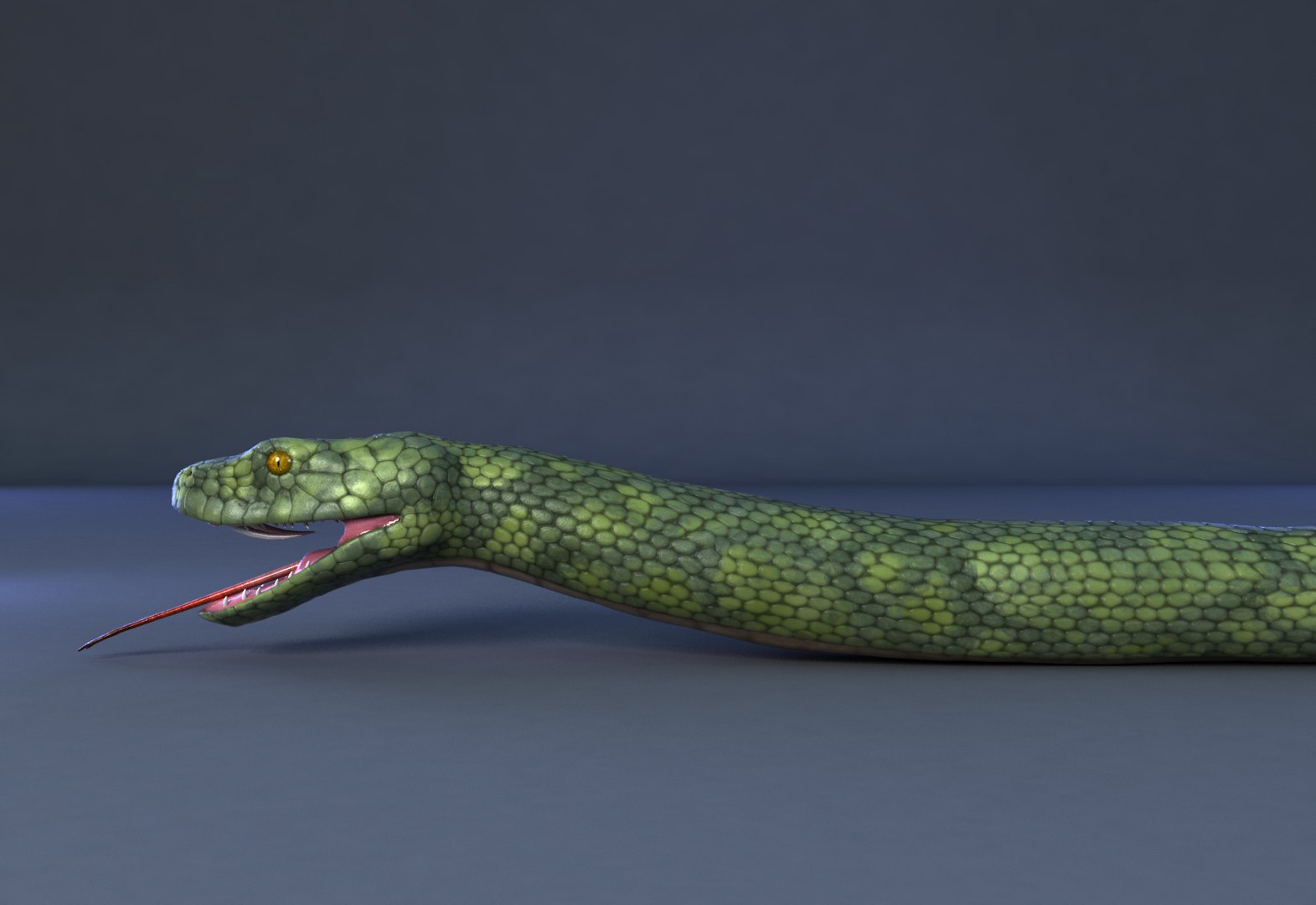 Snake Reptile Animal 3D Model - TurboSquid 1474867