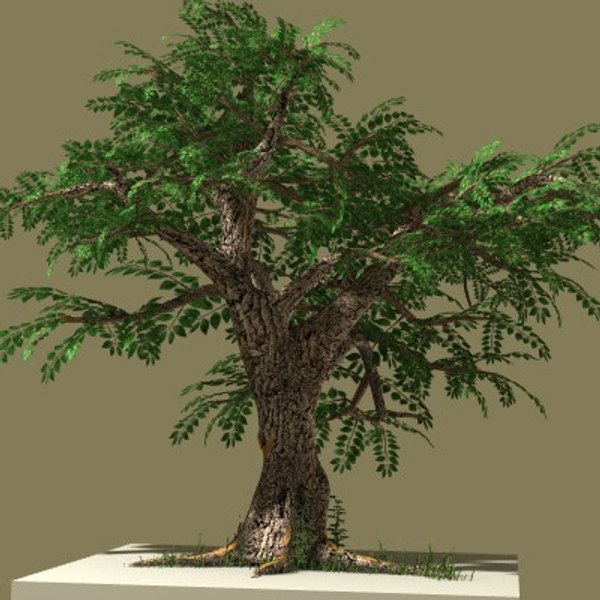 tree 3d model