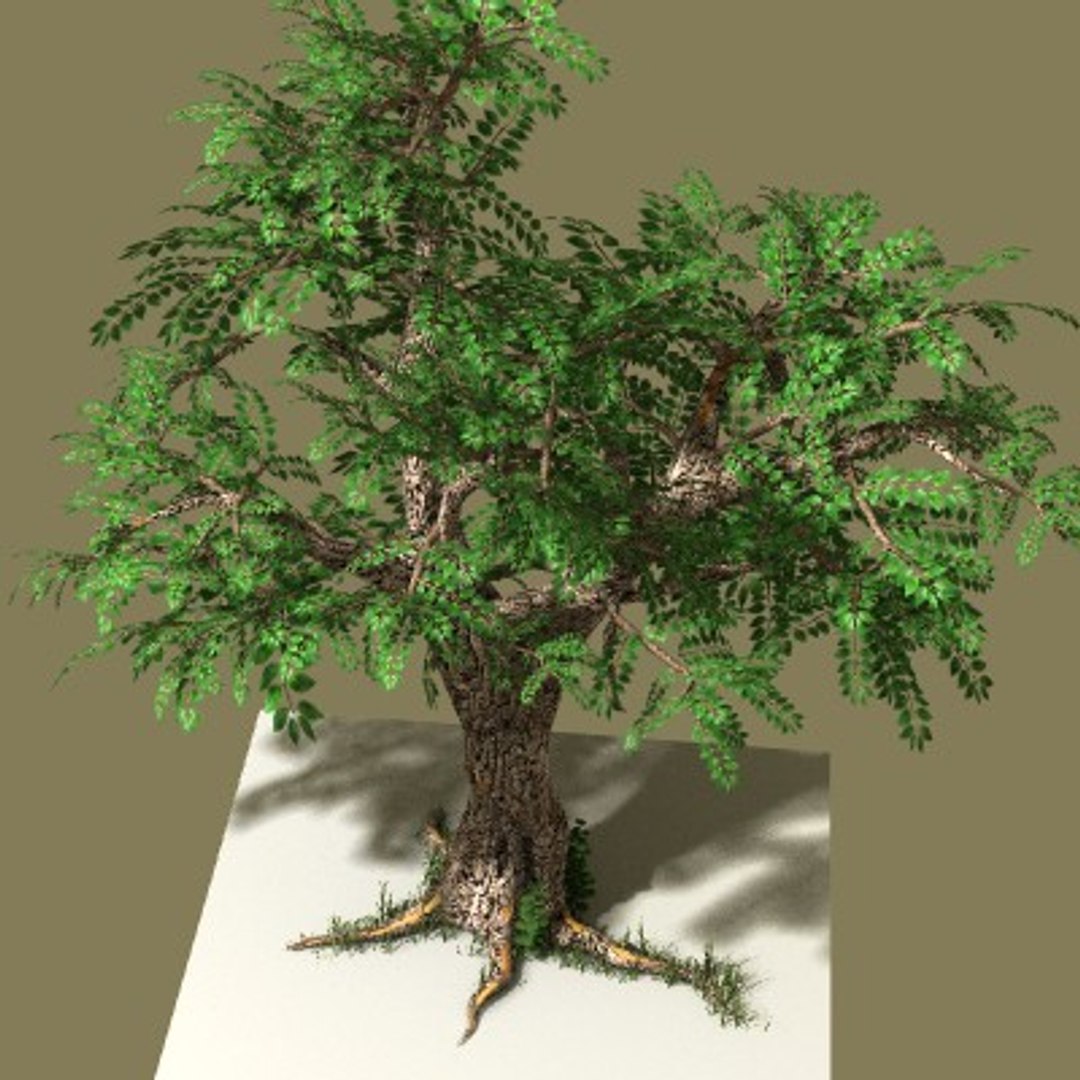 Tree 3d Model