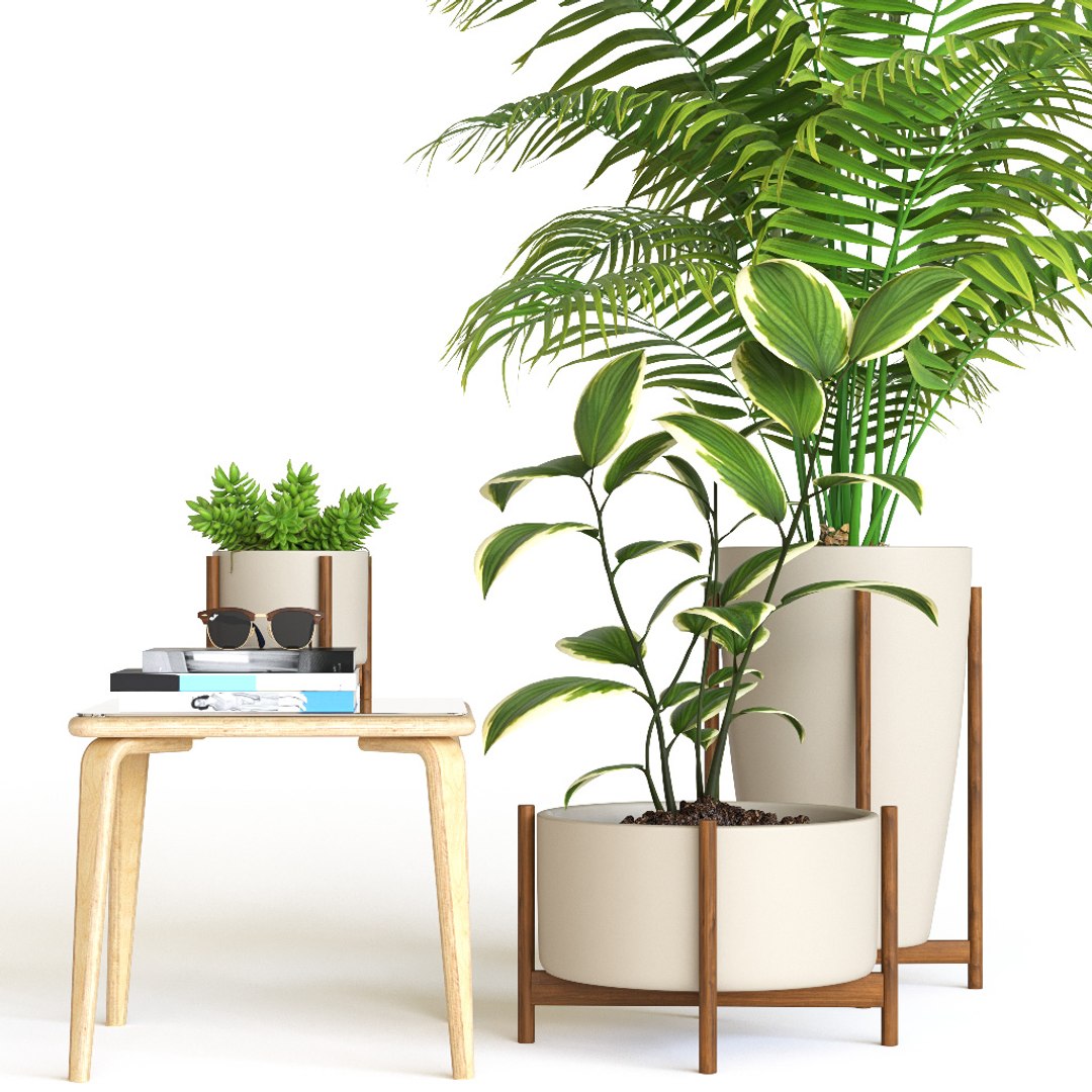 3D plant set - TurboSquid 1226909