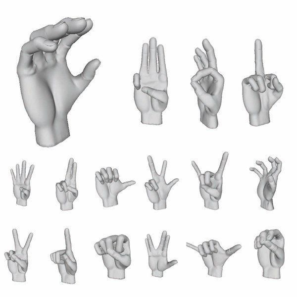 Superficial Anatomy SketchUp Models for Download | TurboSquid