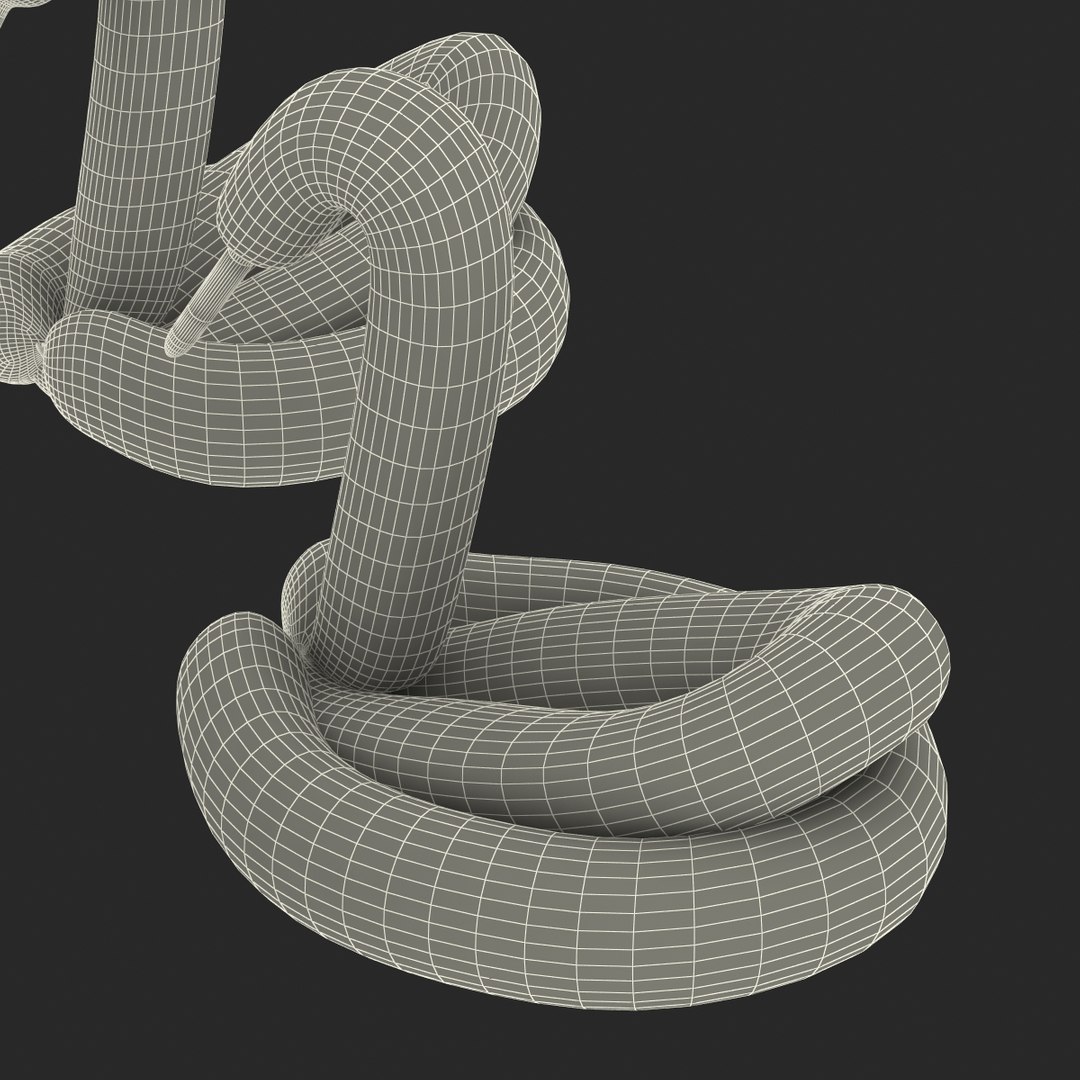 balloon swans set max