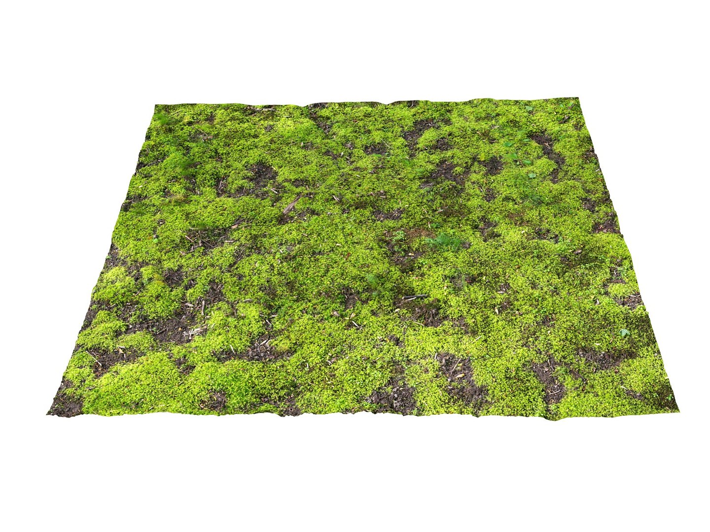 Forest Ground 16k Hd 3d Model