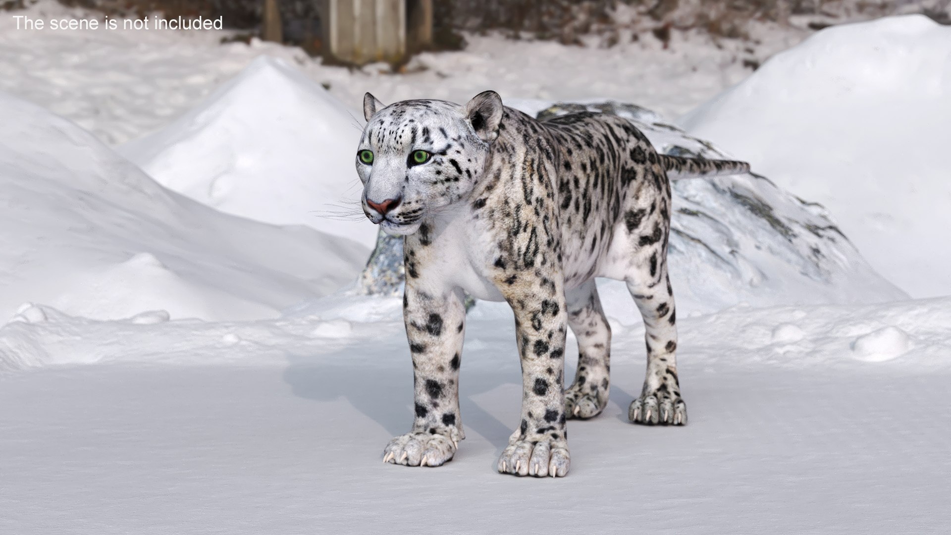 Snow Leopard 3D - TurboSquid 2335579