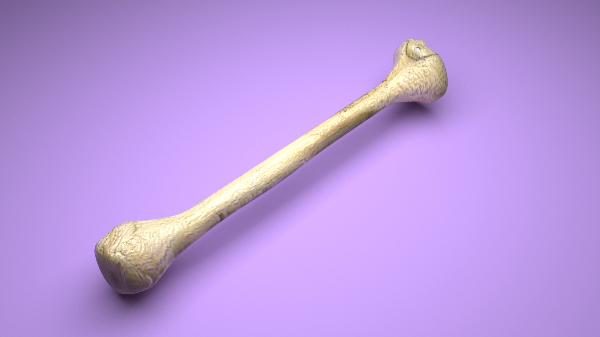 3D Bone model - TurboSquid 1921254