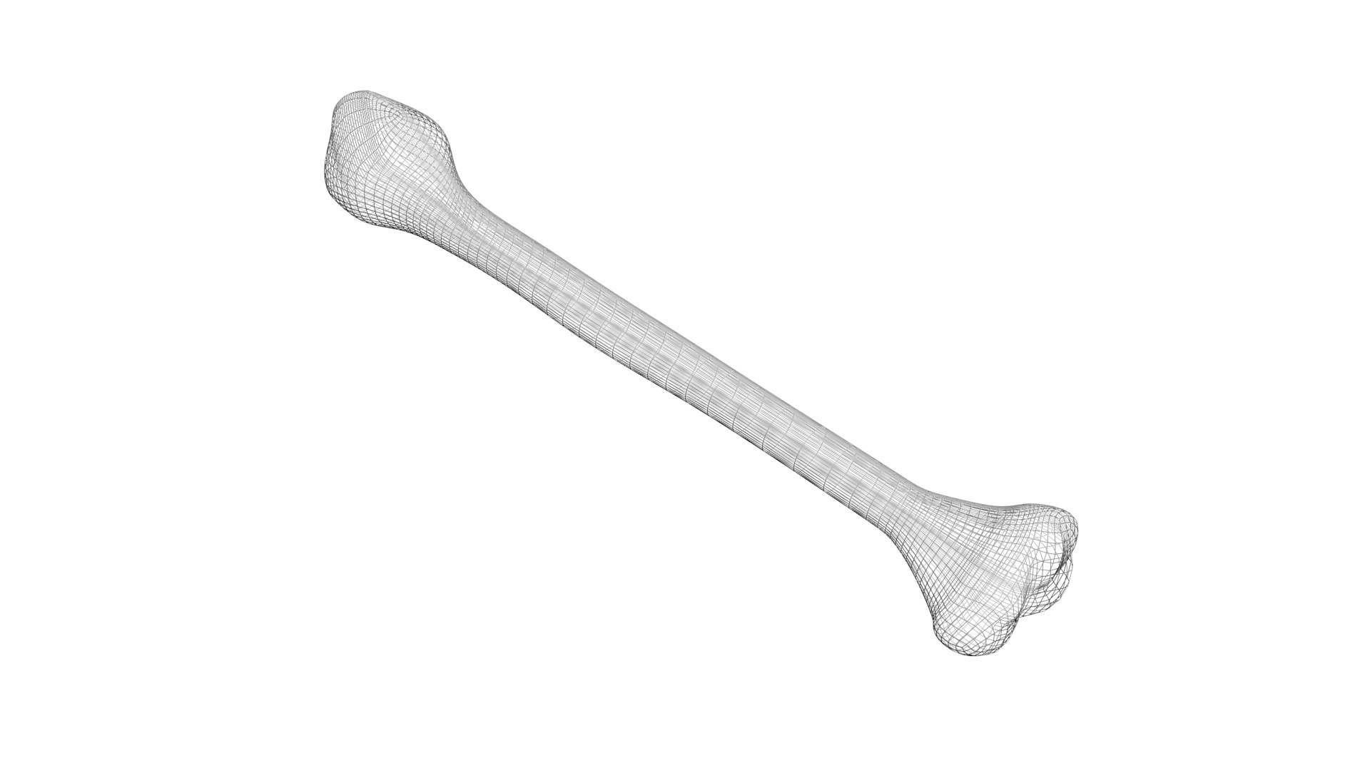 3D Bone model - TurboSquid 1921254