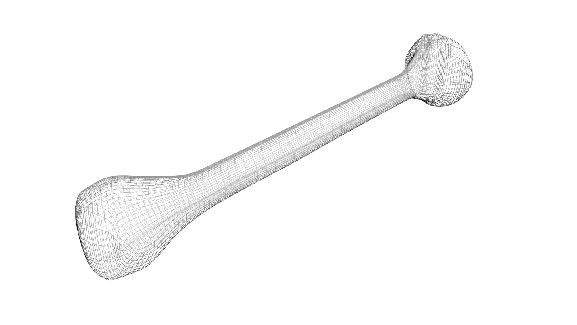 3D Bone model - TurboSquid 1921254