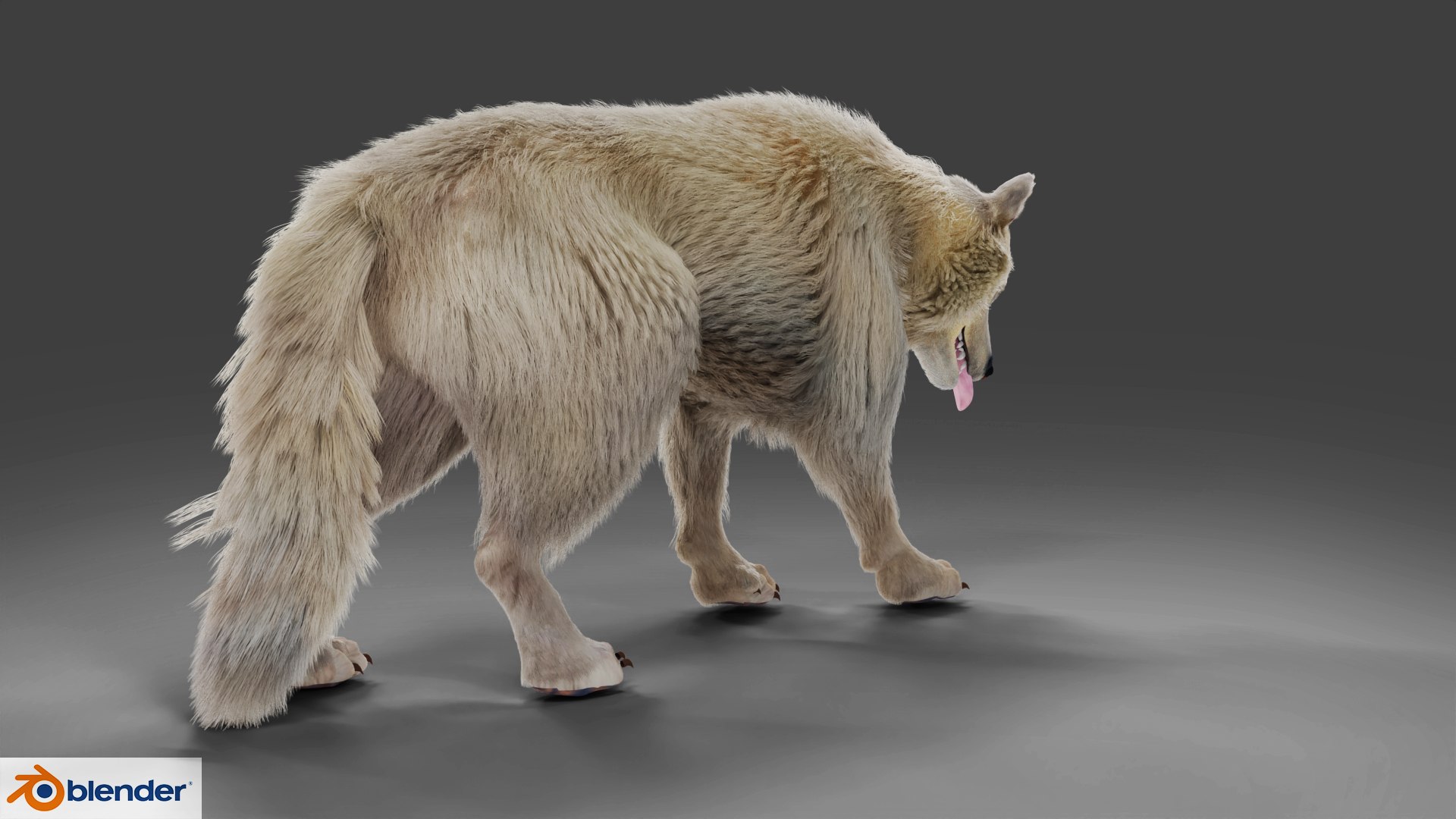 3D Fur Wolf Rigged and Animation in Blender model - TurboSquid 1988364