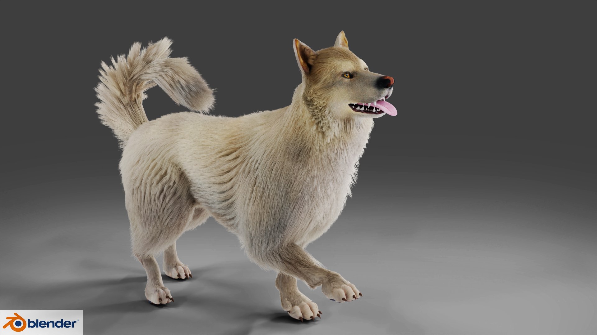 3D Fur Wolf Rigged and Animation in Blender model - TurboSquid 1988364