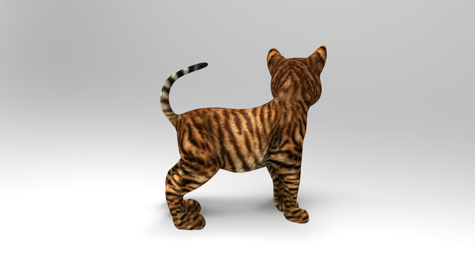 3D model cute cat rigged - TurboSquid 1160440