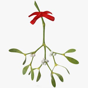 Mistletoe 3D Models for Download | TurboSquid