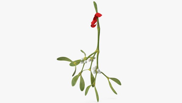 Mistletoe 1 with Red Bow 2 3D - TurboSquid 1806754