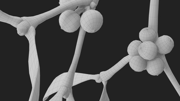 Mistletoe 1 with Red Bow 2 3D - TurboSquid 1806754