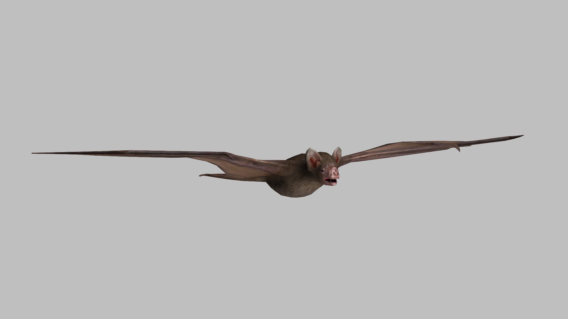 Bat Vampire 3d Model