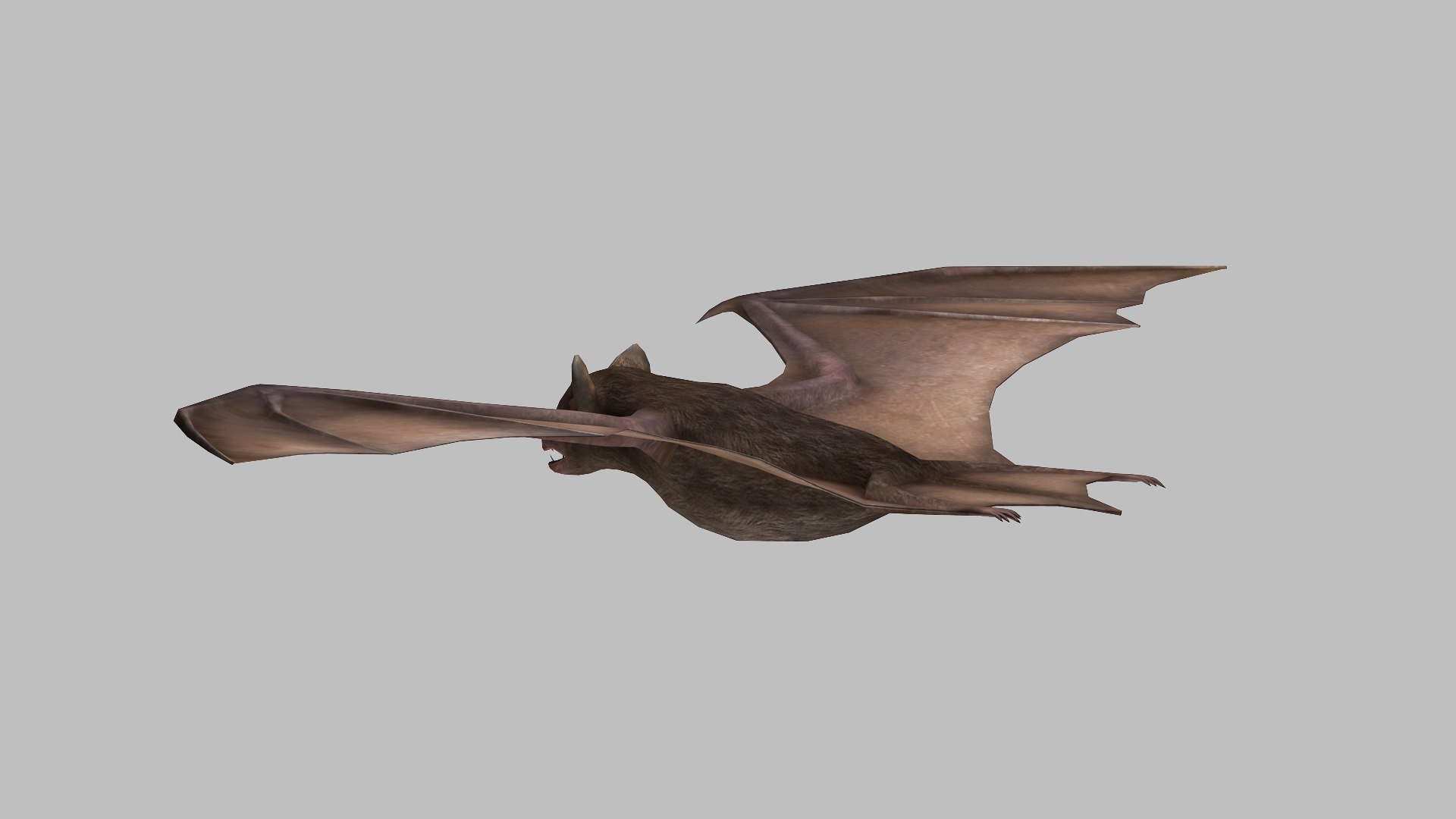 Bat Vampire 3d Model