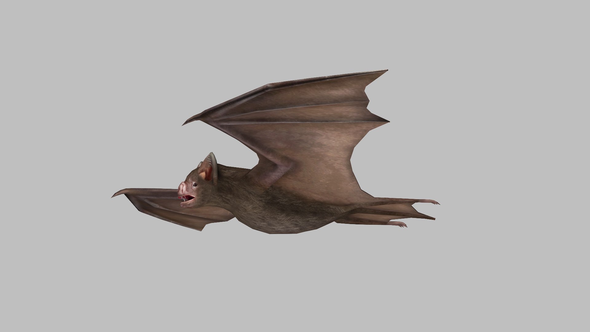 Bat Vampire 3d Model