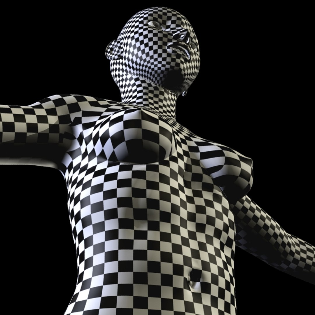 Female Body Template 3d Model