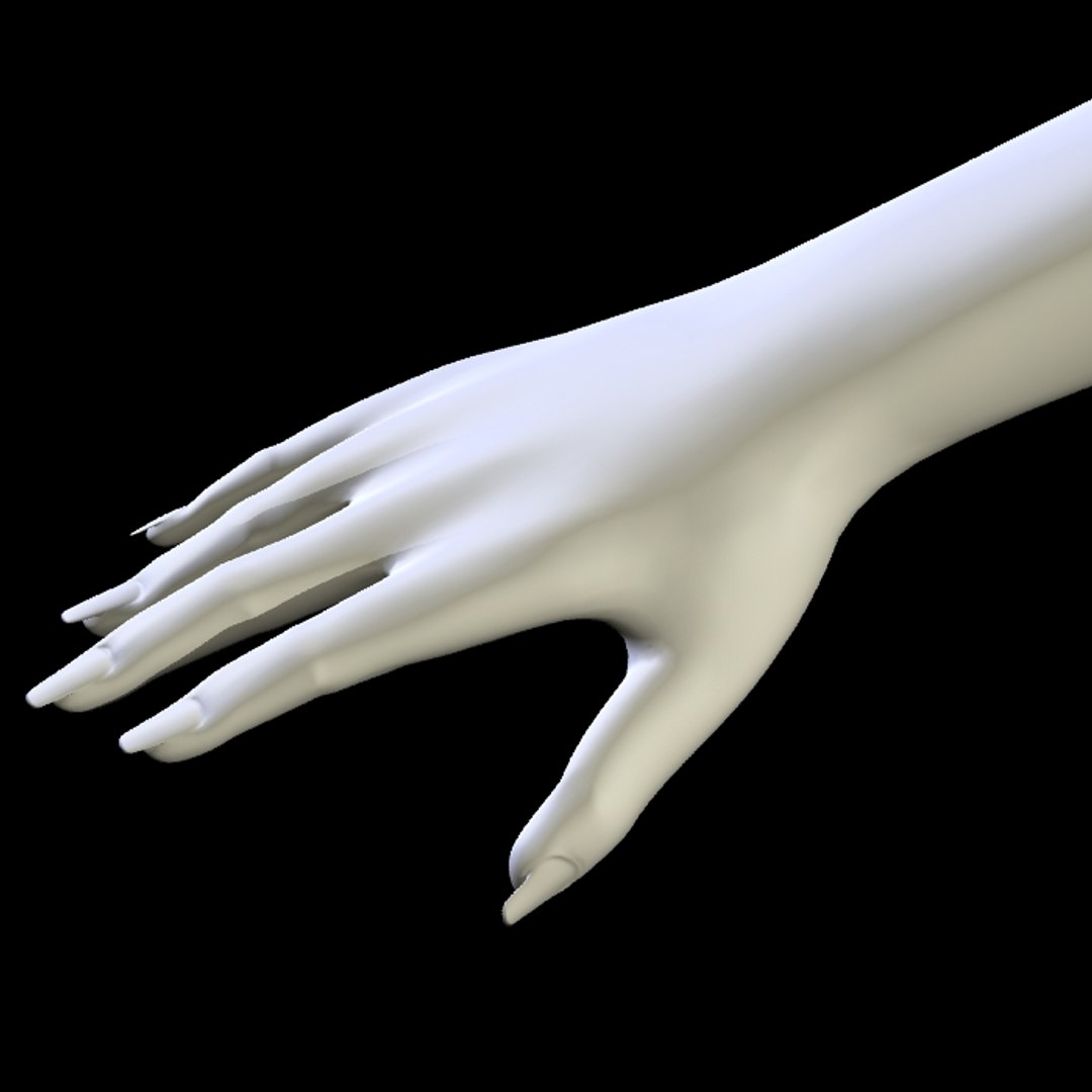 Female Body Template 3d Model