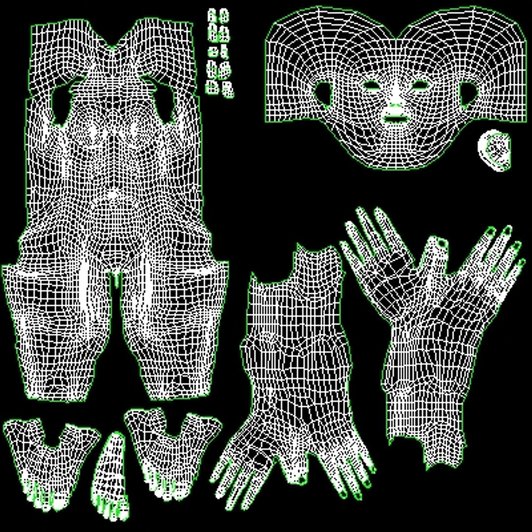 Female Body Template 3d Model