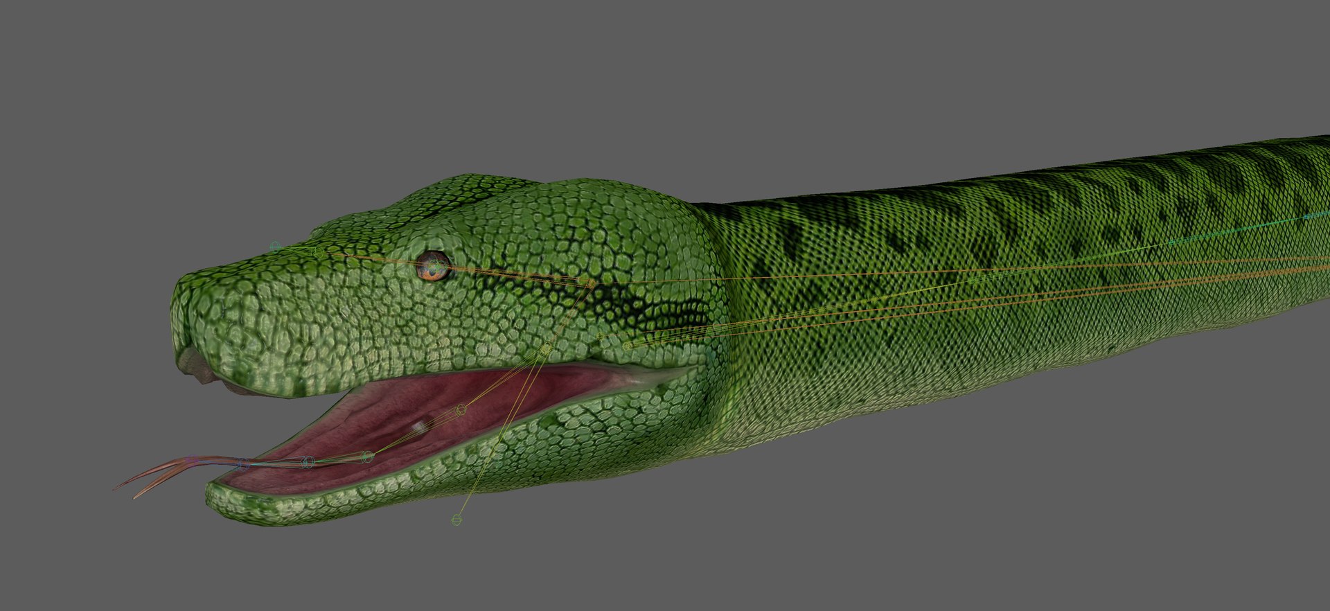 3D Green Python Snake - TurboSquid 2344661